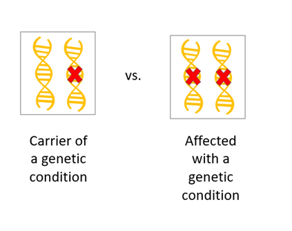 Understanding Genetic Carrier Screening: What You Need to Know